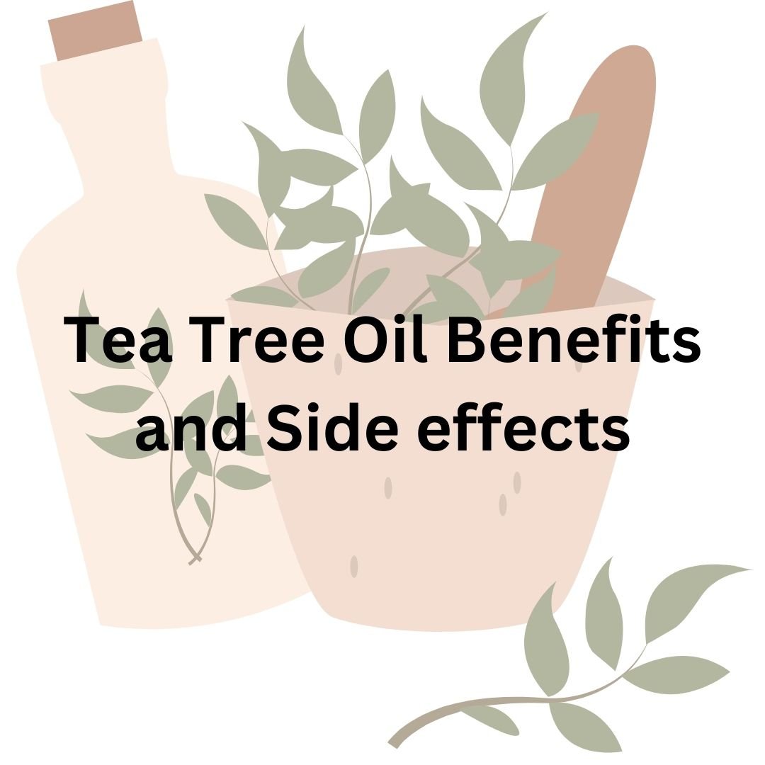 Tea Tree Oil: 7 Benefits, Side effects and more - Happy Squirrel